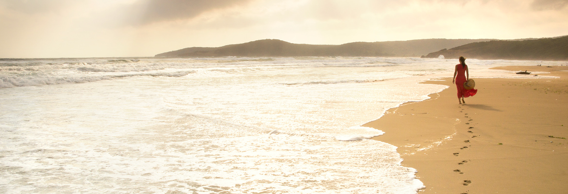 The Silent Watcher – Moments In Stillness